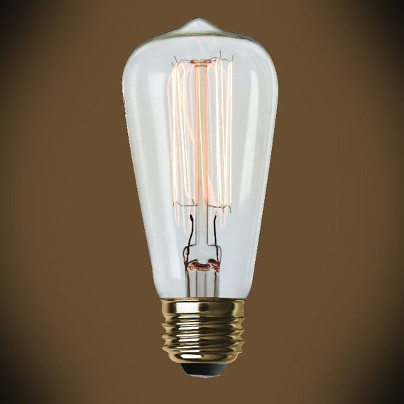 Vintage Light Bulbs | Squirrel Cage Filament Edison Bulbs ...