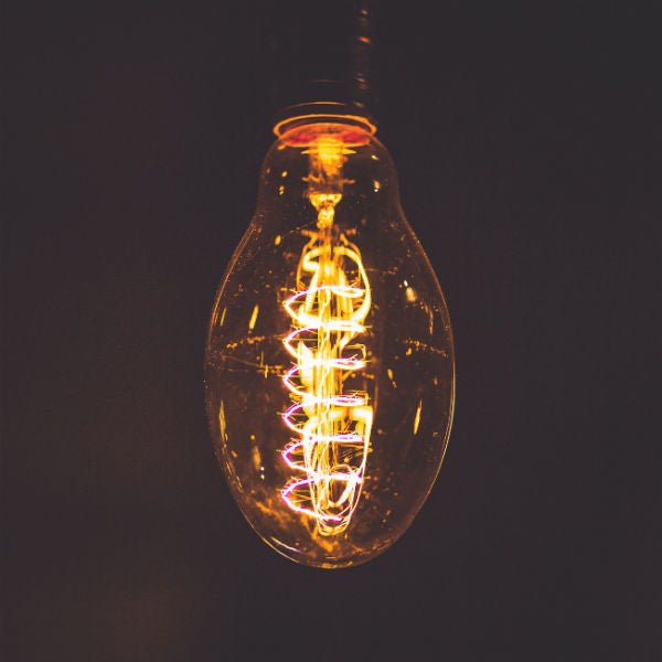 Edison Vintage 40 Watt Bullet Light Bulb | Spiral Filament ...