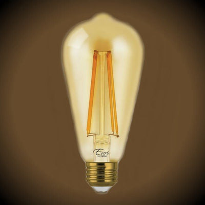 LED Edison Bulb | Edison Light Bulb – Nostalgicbulbs.com