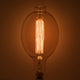 Vintage Mega BT Shape Edison Light Bulb | 15 in. Length ...