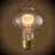 Nostalgic Lantern Light Bulb - 40 Watt, 4.5 in., Amber Glass ...