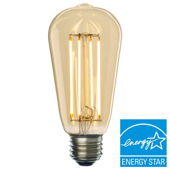 LED Filament Vintage Light Bulb | 600 Lumens | Warm 2200K | 7 Watt ...