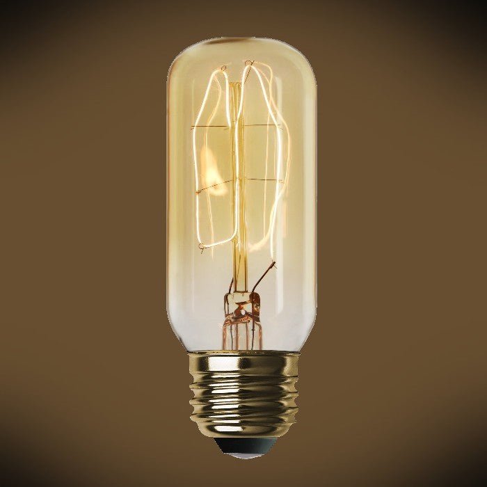 Shop T14 Vintage Light Bulbs with Unique Filament Designs ...