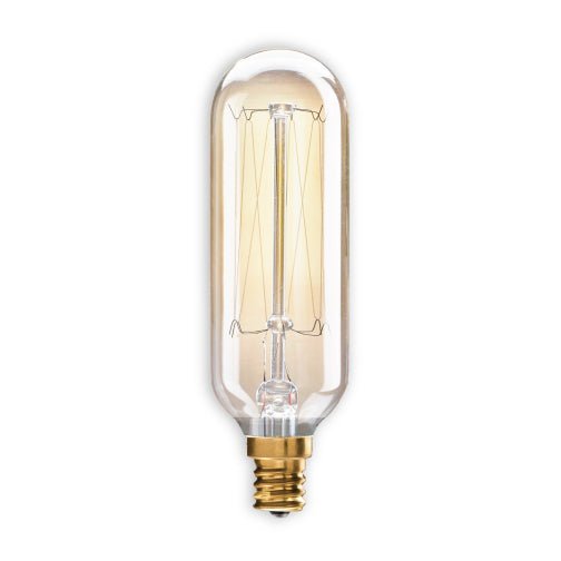 Vintage candelabra 40W tube Light bulb | T8 Tubular Edison ...